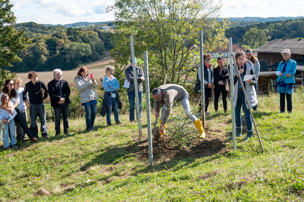 Neustart im Haus der Stille